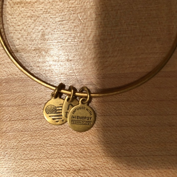 Alex and Ani | Jewelry | Rare Alex And Ani Crab Bangle | Poshmark